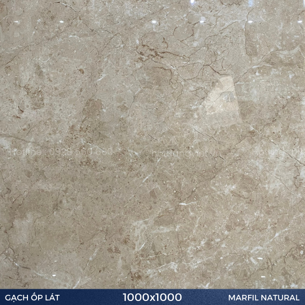 Gạch ốp lát 1000x1000 - MARFIL NATURAL